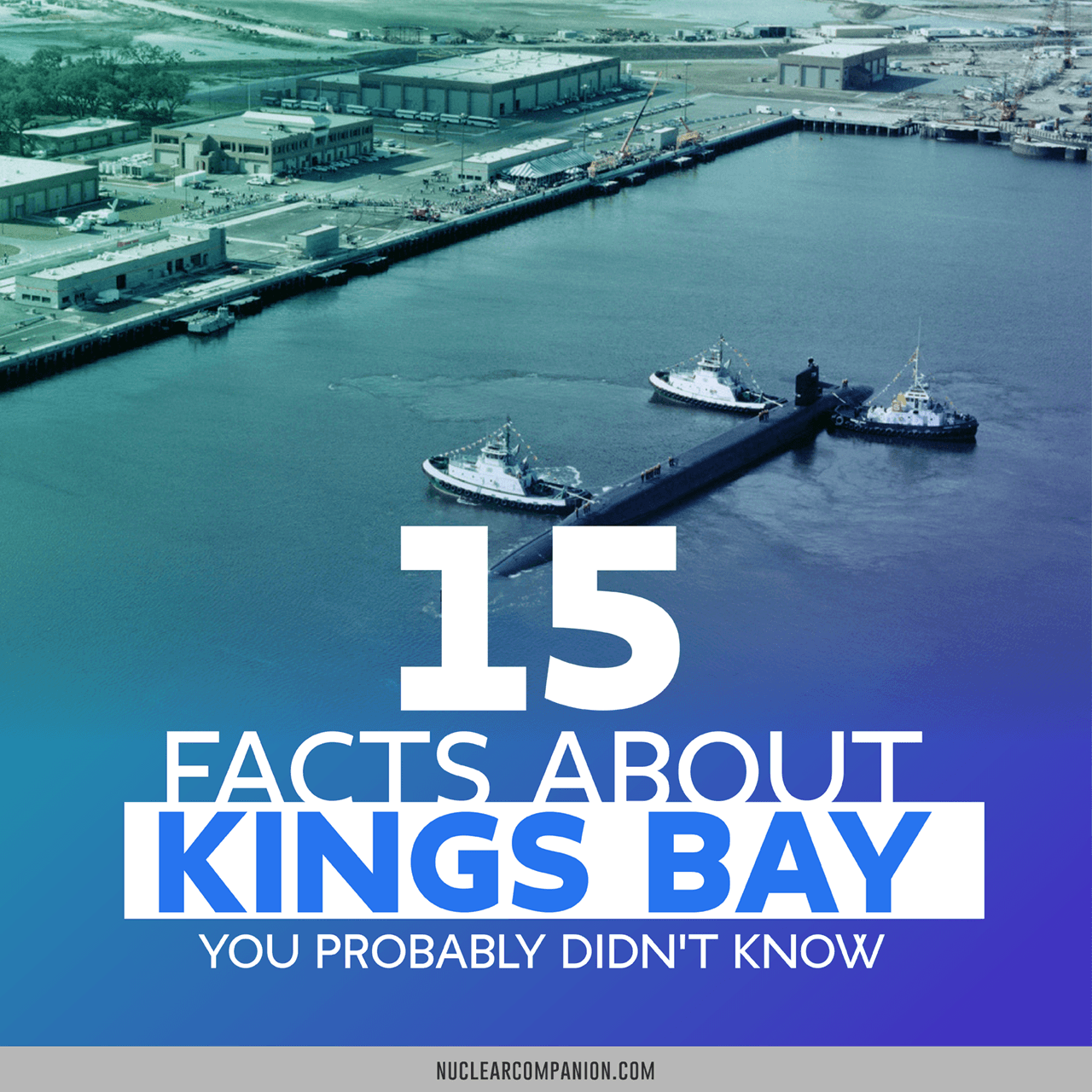 15 Facts About Kings Bay You Probably Didn't Know - Nuclear Companion ...