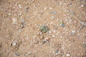 A visit to Trinity Site (where the first atomic bomb exploded ...
